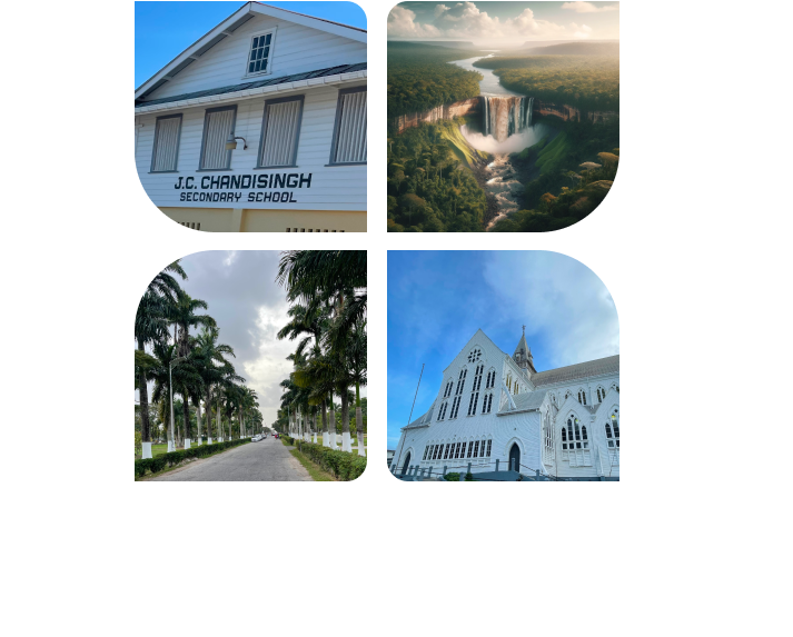 AccessGuyanaAlumni